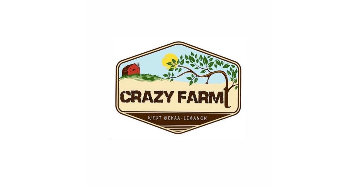 Our Team#N# – Crazy Farm
